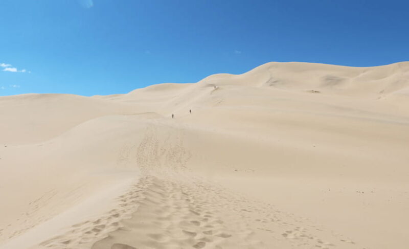MONGOLIA SOUTH GOBI DESERT: 6 Day Exclusive Private Tour - Who This Tour Is Best For