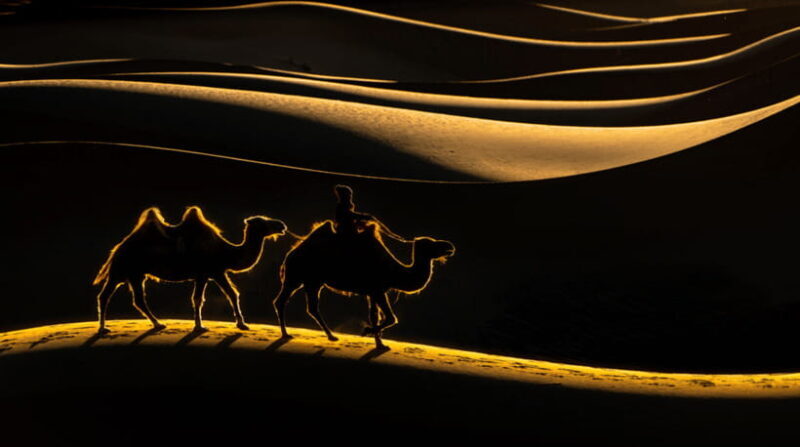 MONGOLIA SOUTH GOBI DESERT: 6 Day Exclusive Private Tour - The Sum Up