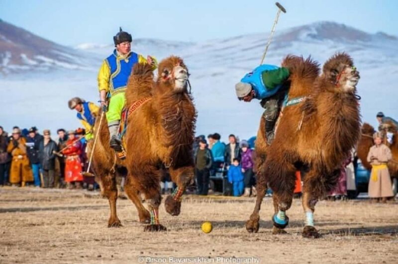 Mongolia: Thousand Camel Festival Tour 3 nights/4 days - FAQ