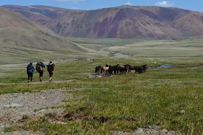 Mongolia Trekking Tour in the Altai Tavan Bogd National Park - Who Should Consider This Tour?