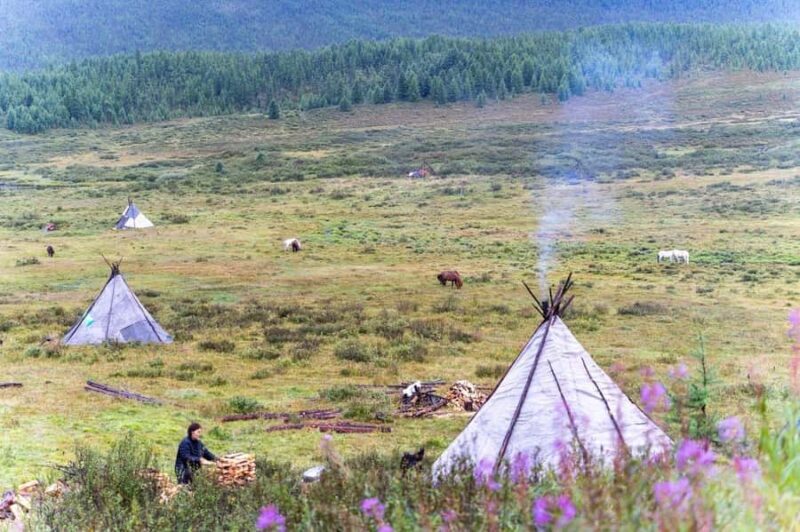 Mongolia: Tsaatan Tribe and Lake Khövsgöl 8-Day Tour - Practical Details and What to Expect