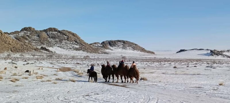 Mongolia: Winter Adventure Tour/Central Mongolia - Day-by-Day Breakdown