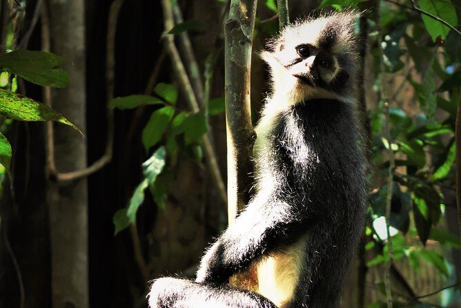 Monkey Business 2 days - 1 night Jungle Trekking (including rafting) - Practical Tips for Travelers