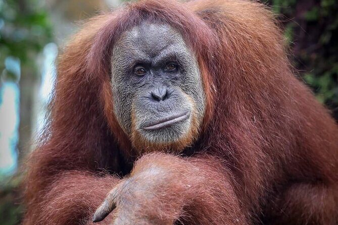 Monkey Business 3 days - 2 nights Jungle trekking (including rafting) - Who Should Consider This Tour?