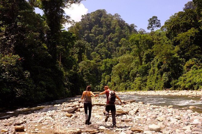 Monkey Business 3 days - 2 nights Jungle trekking (including rafting) - The Sum Up – a Rich, Authentic Jungle Journey