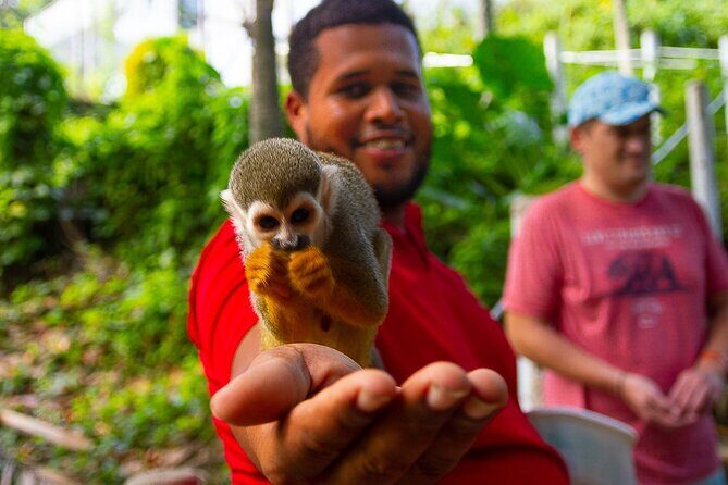 Monkey Enconter & Zip line Adventure - Overview of the Experience