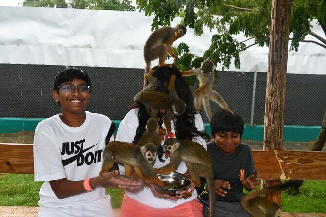 Monkey Encounter and Zip Line Tour from Amber Cove and Taino Bay - What to Expect from the Tour