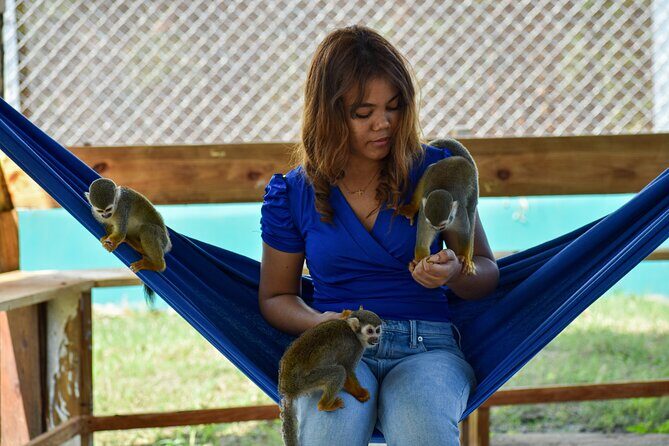 Monkey Encounter and Zip Line Tour from Amber Cove and Taino Bay - Who Would Love This Tour?