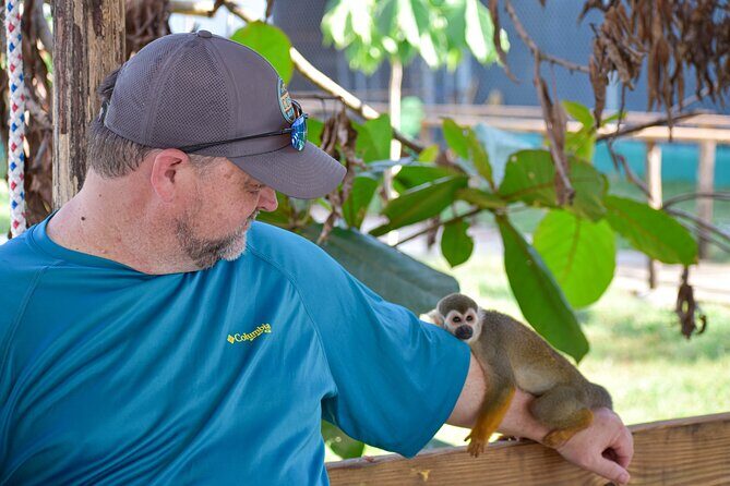 Monkey Encounter and Zip Line Tour from Amber Cove and Taino Bay - The Sum Up