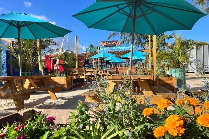 Monkey Feeding And Beach Day In Barbados - What to Expect from the Tour