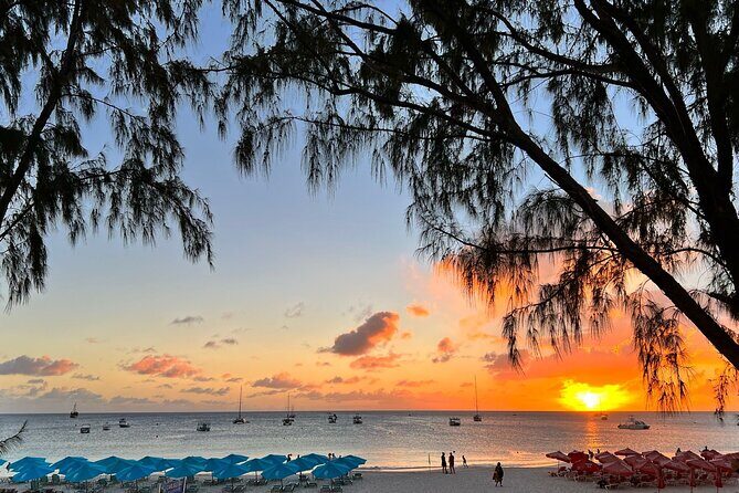 Monkey Feeding And Beach Day In Barbados - Who Should Consider This Tour?