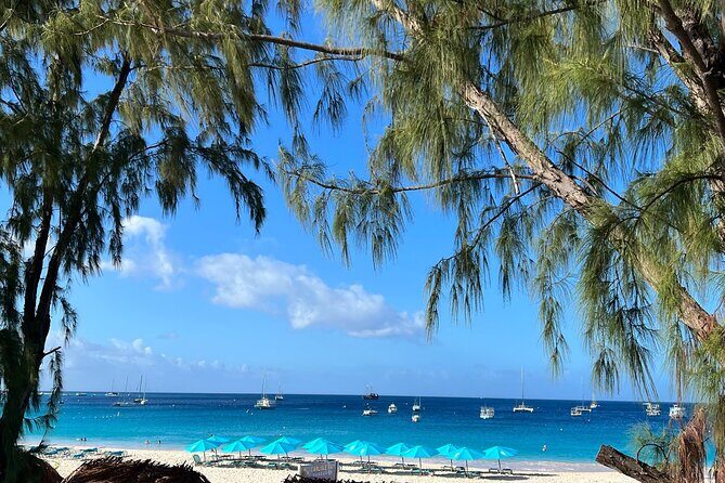 Monkey Feeding And Beach Day In Barbados - Final Thoughts