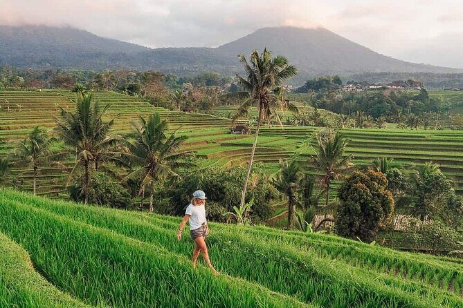 Monkey Forest, Jatiluwih and Temple in Jungle Private Tour - FAQ