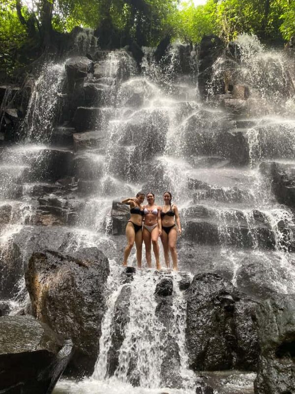 Monkey Forest, Waterfall ,Temple and Rice Terrace - An Intro to the Tour Experience