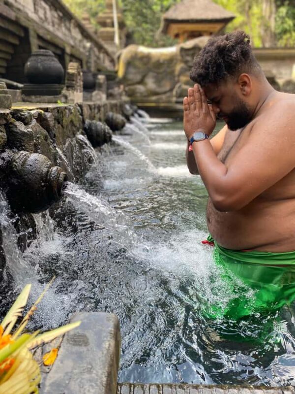 Monkey Forest, Waterfall ,Temple and Rice Terrace - The Value and Price