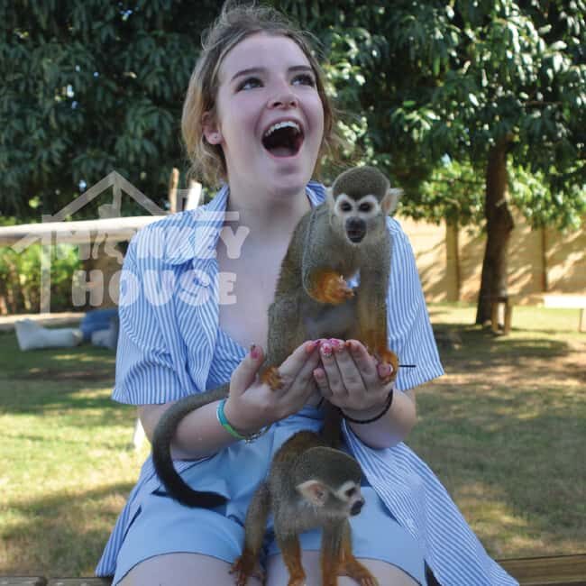 Monkey House VIP  An exclusive experience in Punta Cana - Introduction: What Makes Monkey House VIP Special?