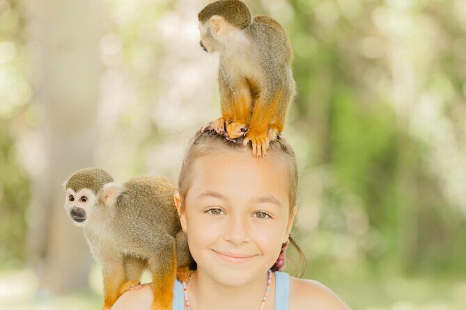 Monkey House VIP Experience with 4 species of monkeys, Punta Cana - An intimate setting with four monkey species