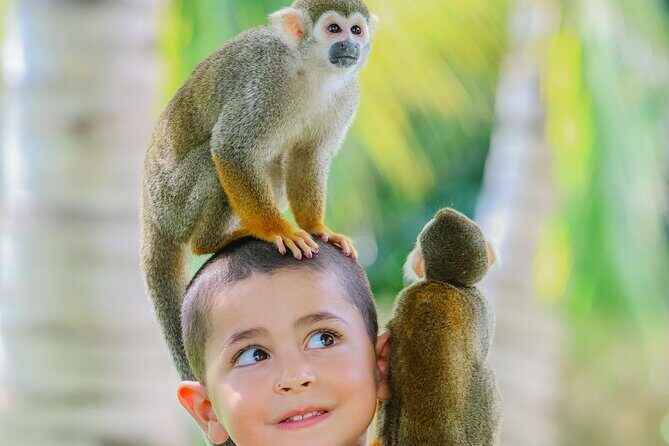 Monkey House VIP Experience with 4 species of monkeys, Punta Cana - Small group, exclusive access