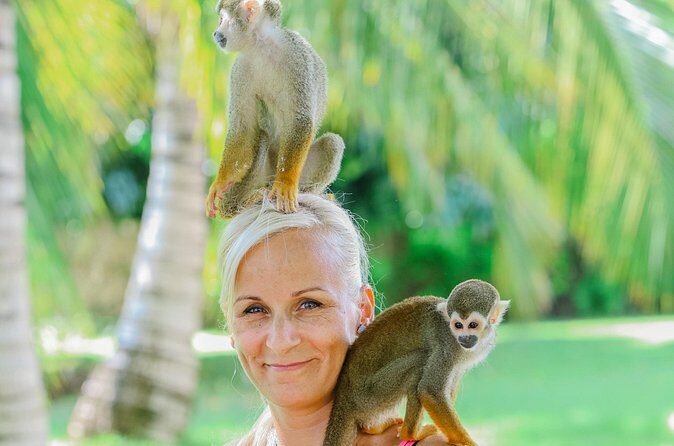 Monkey House VIP Experience with 4 species of monkeys, Punta Cana - Duration and logistics