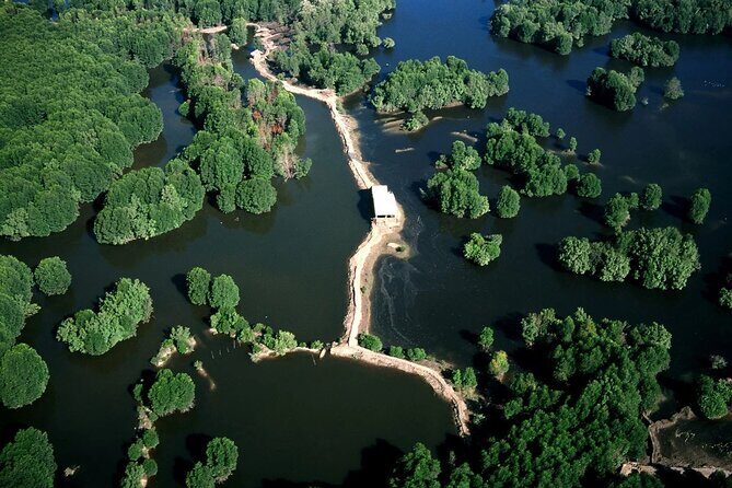 Monkey Island and Mangrove Forest Eco Tour from Ho Chi Minh - What Travelers Can Expect in Terms of Experience
