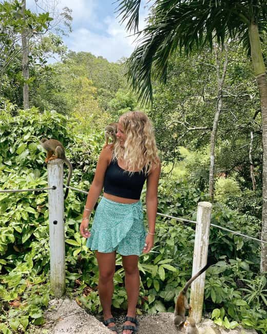 Monkey jungle tour + Transportation from cruise/hotel - Introduction