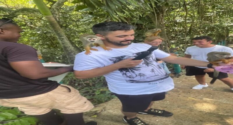 Monkey jungle tour + Transportation from cruise/hotel - The Sum Up