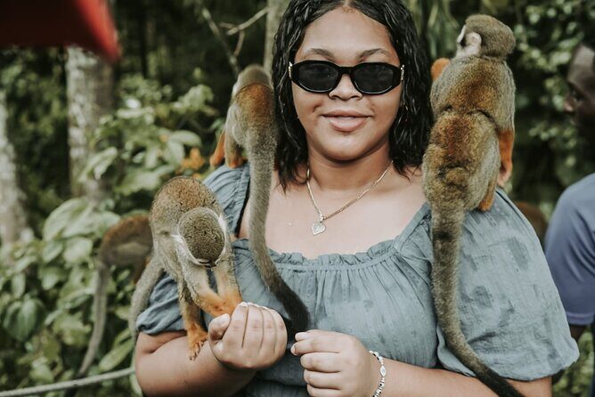 Monkey Jungle with Zip line - Key Points