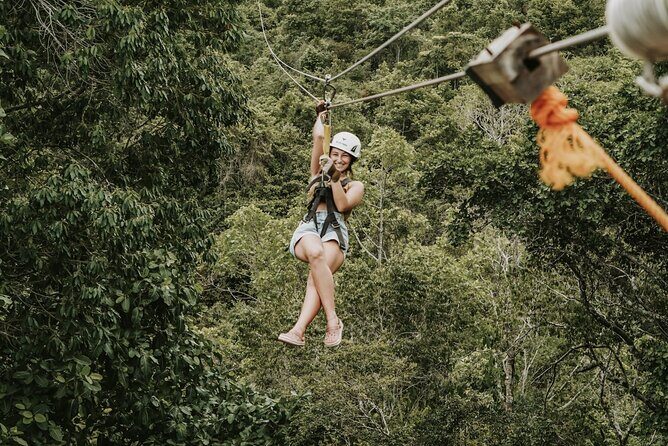 Monkey Jungle with Zip line - The Sum Up