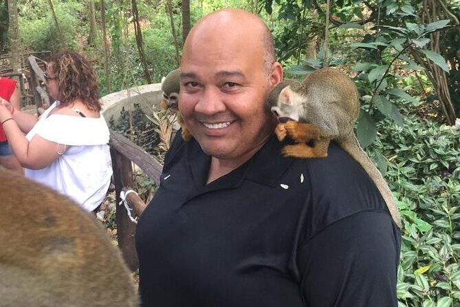 Monkey Jungle with Zip line - FAQ