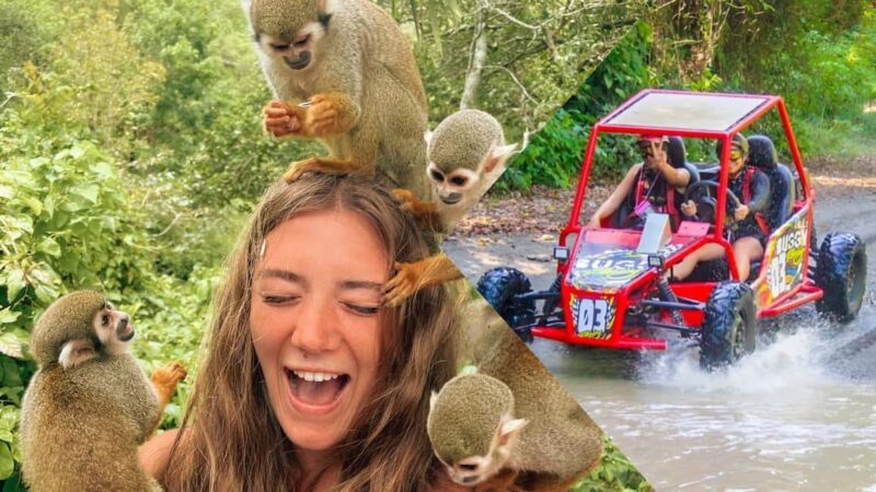 Monkey Land Plus Buggies in Puerto plata - Exploring Monkey Land Plus Buggies in Puerto Plata