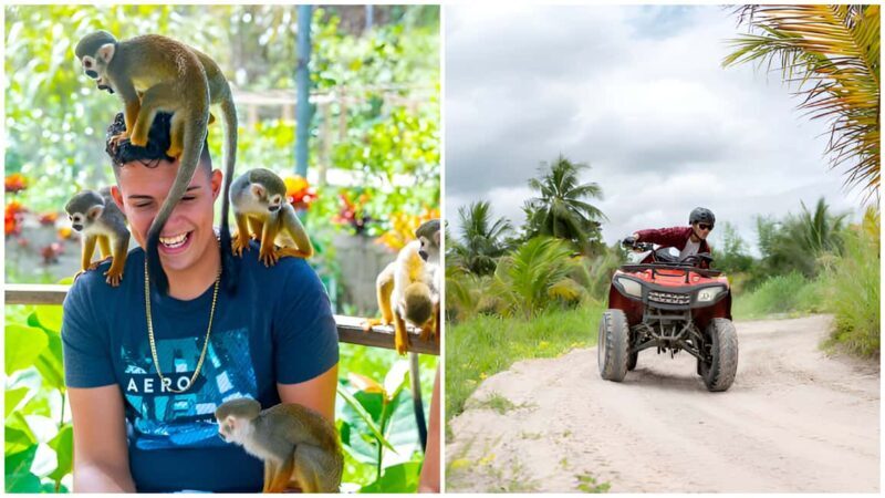 Monkey Land Plus Buggies in Puerto plata - Key Points