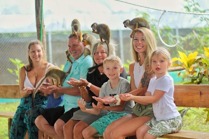 Monkey Magic and City Views in Puerto Plata - Key Points