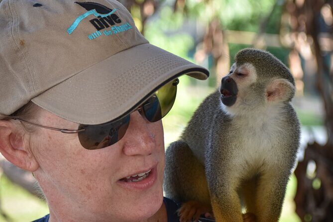 Monkey Mania Puerto Plata - The Sum Up: Is It Worth It?