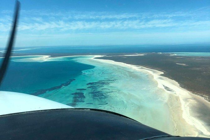 Monkey Mia Dolphins & Shark Bay Air Tour From Perth - An in-depth look at the Monkey Mia Dolphins & Shark Bay Air Tour