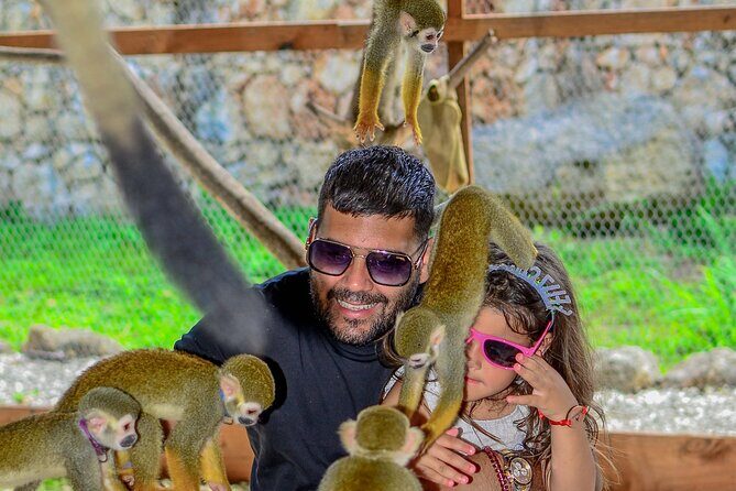 Monkey Sanctuary, Cenote & Plantation Tour in Punta Cana - A Practical Look at the Monkey Sanctuary, Cenote & Plantation Tour in Punta Cana