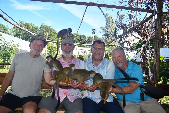 Monkey Tour Interaction and Damajagua waterfalls in Puerto Plata. - The Experience: What to Expect