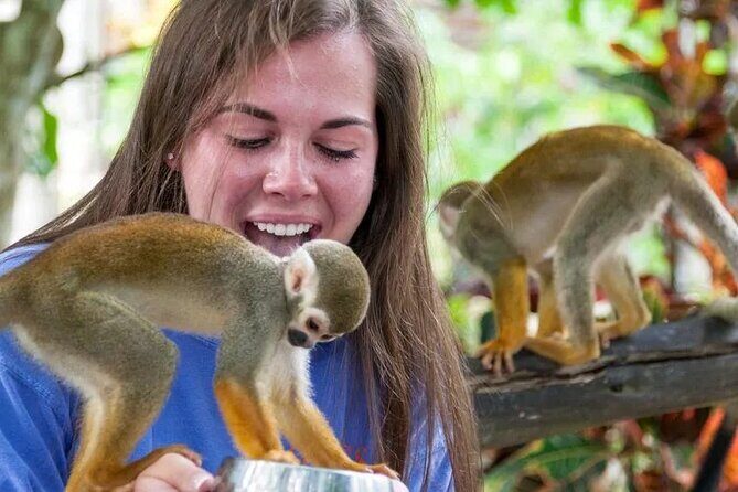 Monkeyhouse Adventure: A Family Day of Fun & Nature - Who Is This Tour Best For?