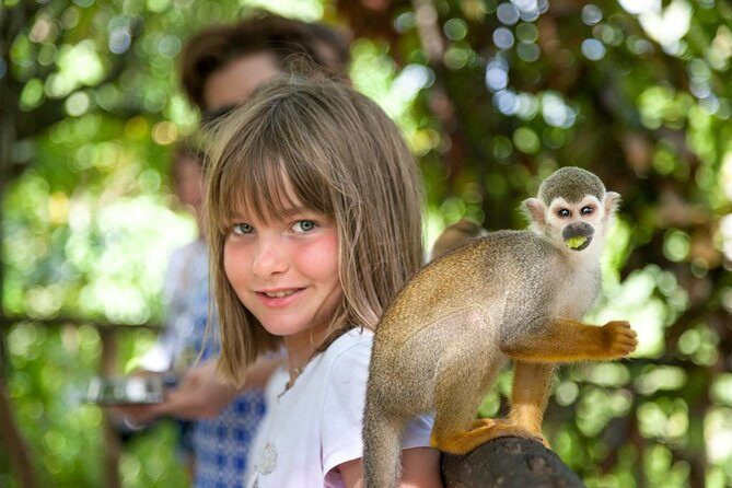 Monkeyland and Plantation Safari from La Romana - The Sum Up