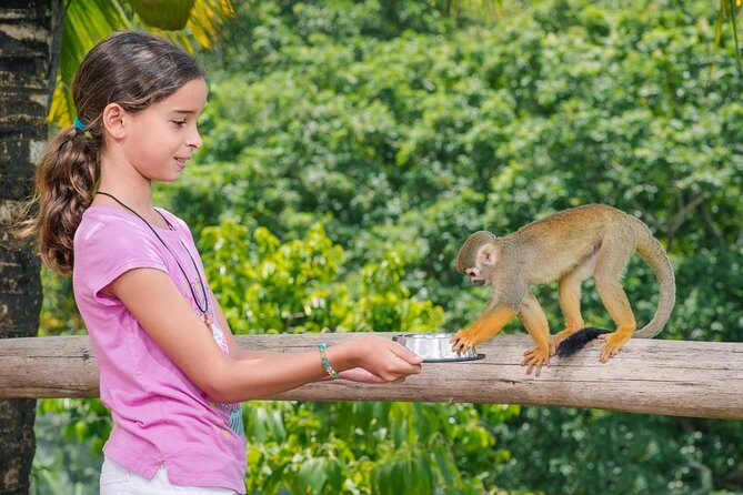 Monkeyland and Plantation Safari from La Romana - FAQ