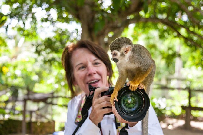 Monkeyland and Plantation Safari Tour from Punta Cana - The Return Journey and Final Impressions