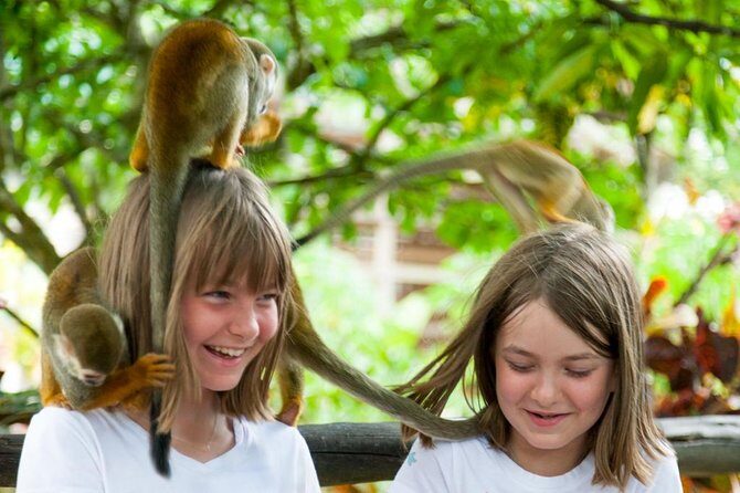 Monkeyland and Plantation Safari Tour from Punta Cana - What to Expect and Practical Tips