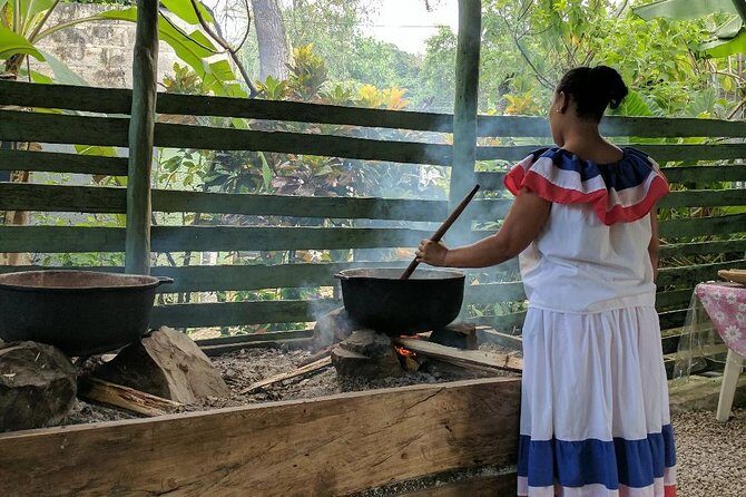 Monkeyland and Plantation Safari Tour from Punta Cana - Family and Group Suitability