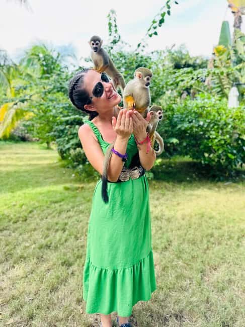 Monkeyland and Plantation Tour from Puerto plata - The Sum Up