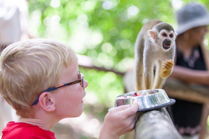 Monkeyland and Zipline Adventure from Puerto Plata - An In-Depth Look at the Tour