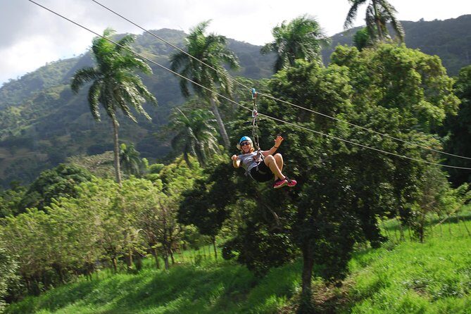 Monkeyland and Zipline Adventure from Puerto Plata - The Sum Up
