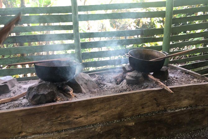 Monkeyland & Plantation Safari Full Day from Juan Dolio - Final Thoughts