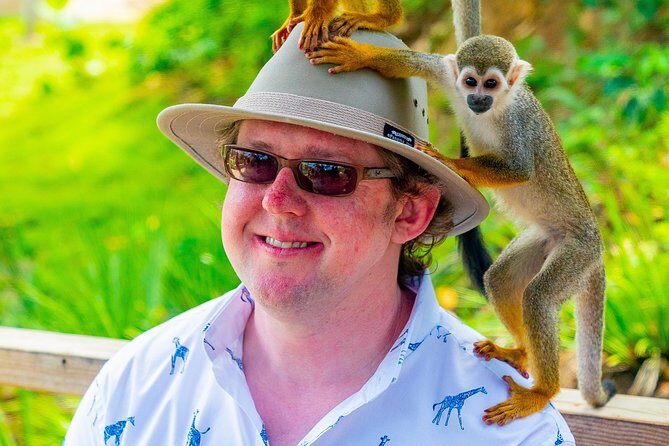 Monkeyland Puerto Plata - Authentic Experiences and Genuine Value