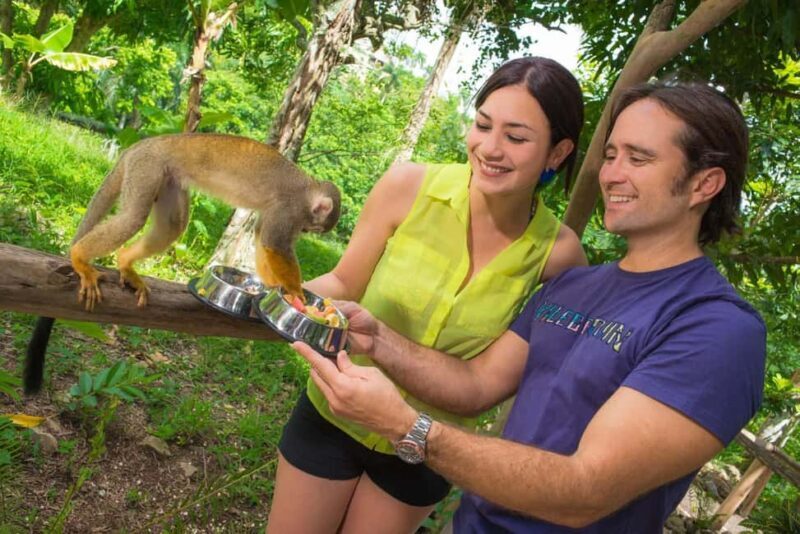 Monkeyland Punta Cana Natural Jungle and Guided Safari Tour - Key Points