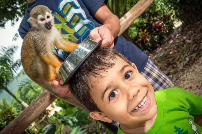 Monkeyland Punta Cana Natural Jungle and Guided Safari Tour - An Authentic Look at the Tour Experience