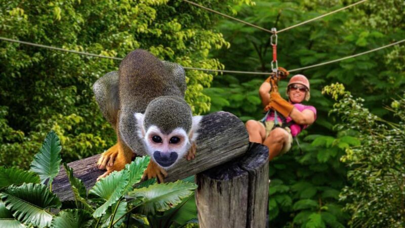 Monkeyland Punta Cana Natural Jungle and Guided Safari Tour - Practicalities and Value